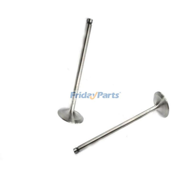 2 Pcs Valve-Intake 7W-8064 for Caterpillar CAT Excavator 205B 214B 320 ...